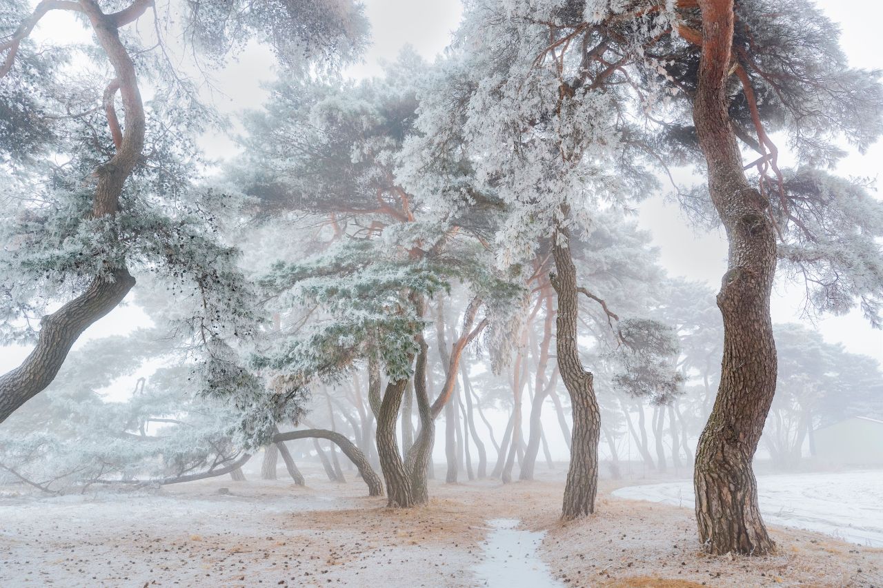 Hiking In Korea: The Complete Guide For Foreign Travelers | KCulture ...