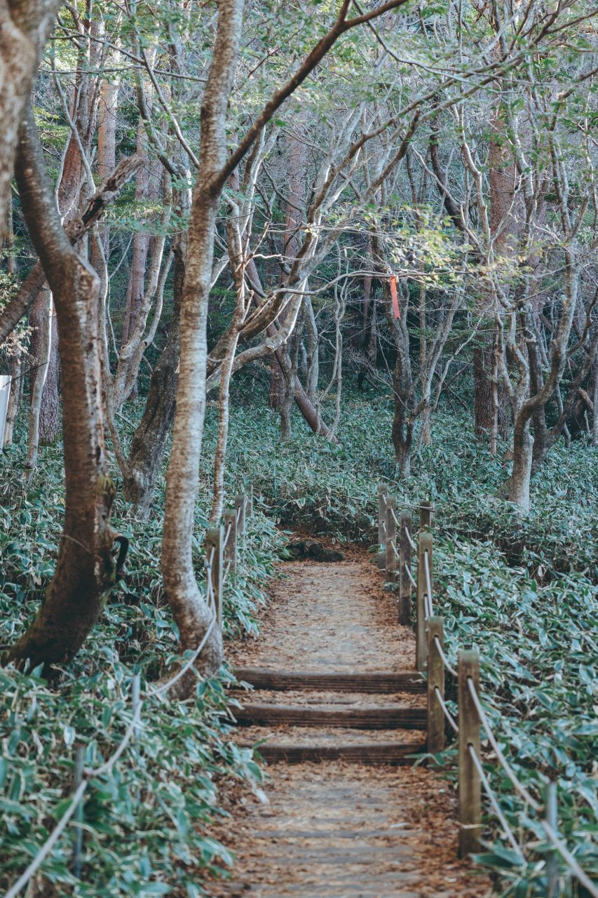 Hallasan Hiking : Essential Reservations, Route Comparison & Rules ...