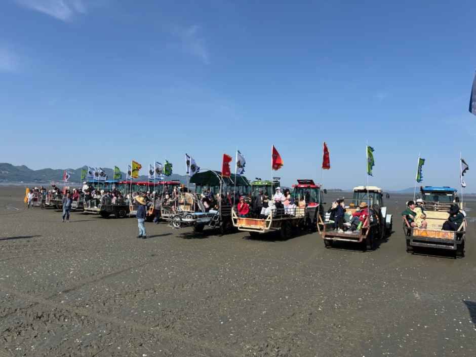 Hajeon Clam Festival: A Sensory Delight In Gochang | KCulture.com: K ...